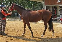 탱자 (TANGJA)의 마적사항